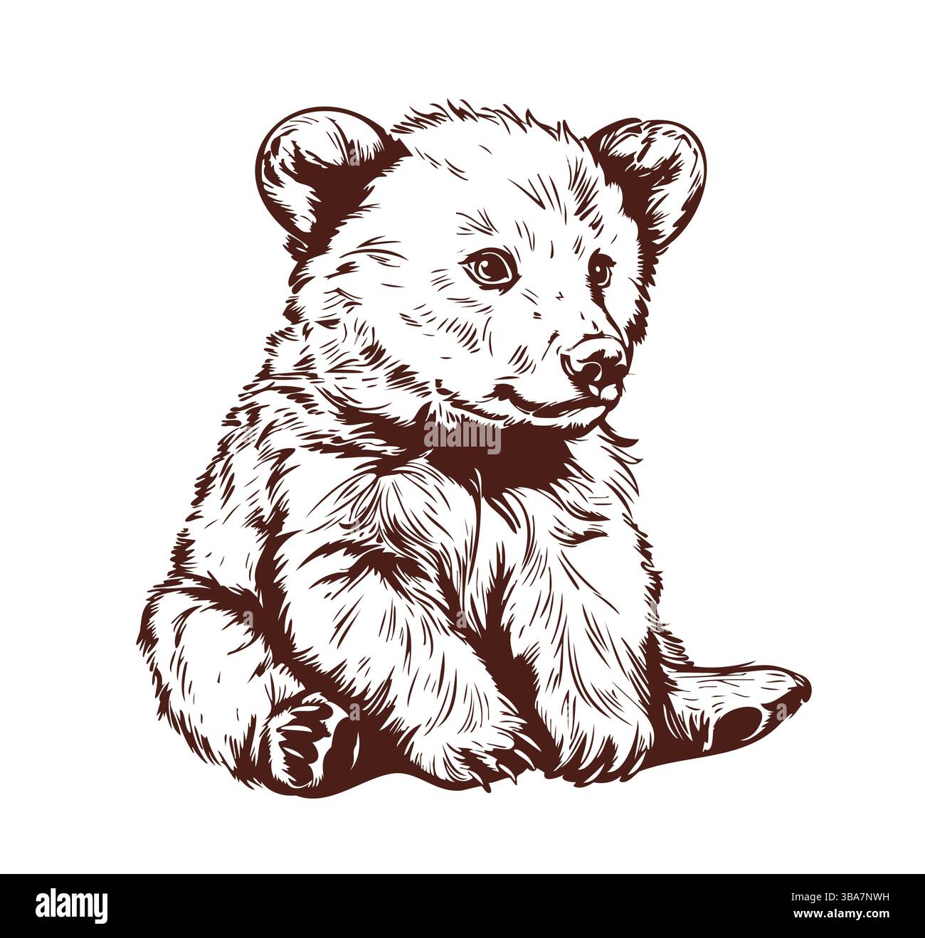 baby bear cub, sketch graphics monochrome illustration on white ...