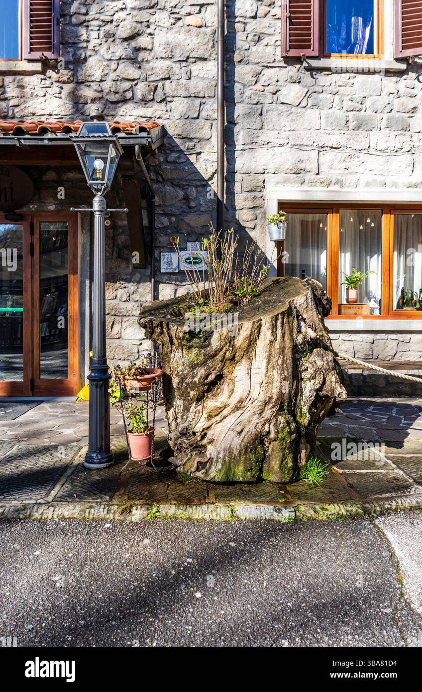 Picturesque street with lamp and trunk of an old tree in the quiet ...