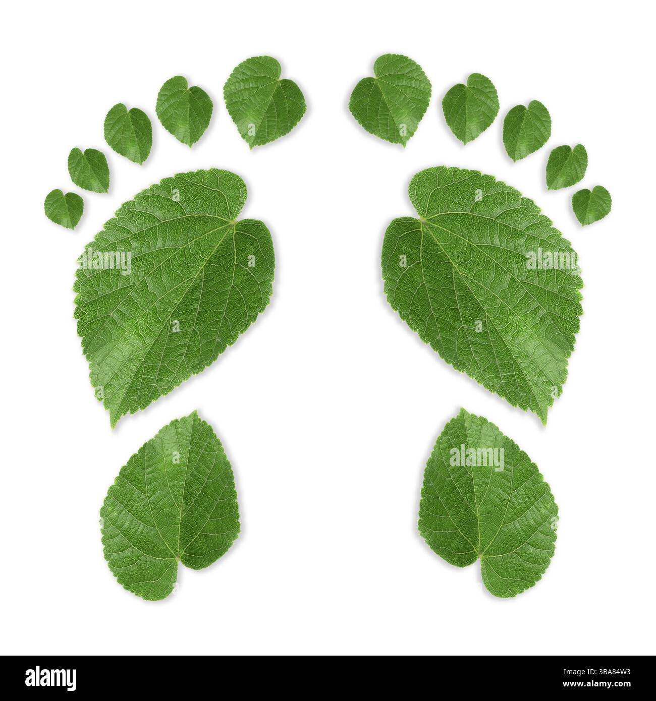 Human footprints top Cut Out Stock Images & Pictures - Alamy