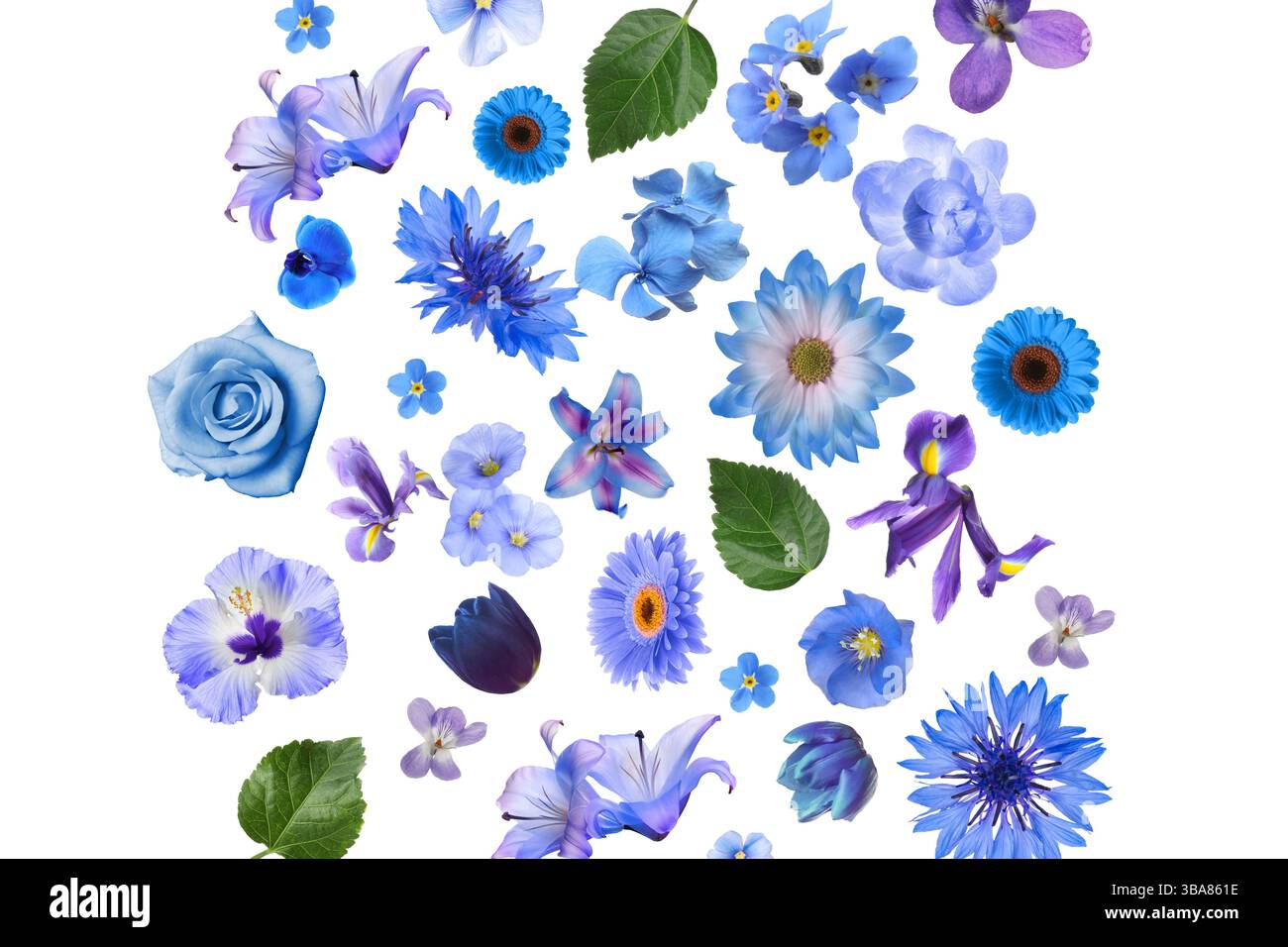 Delicate floral design in shades of blue set hi-res stock photography ...