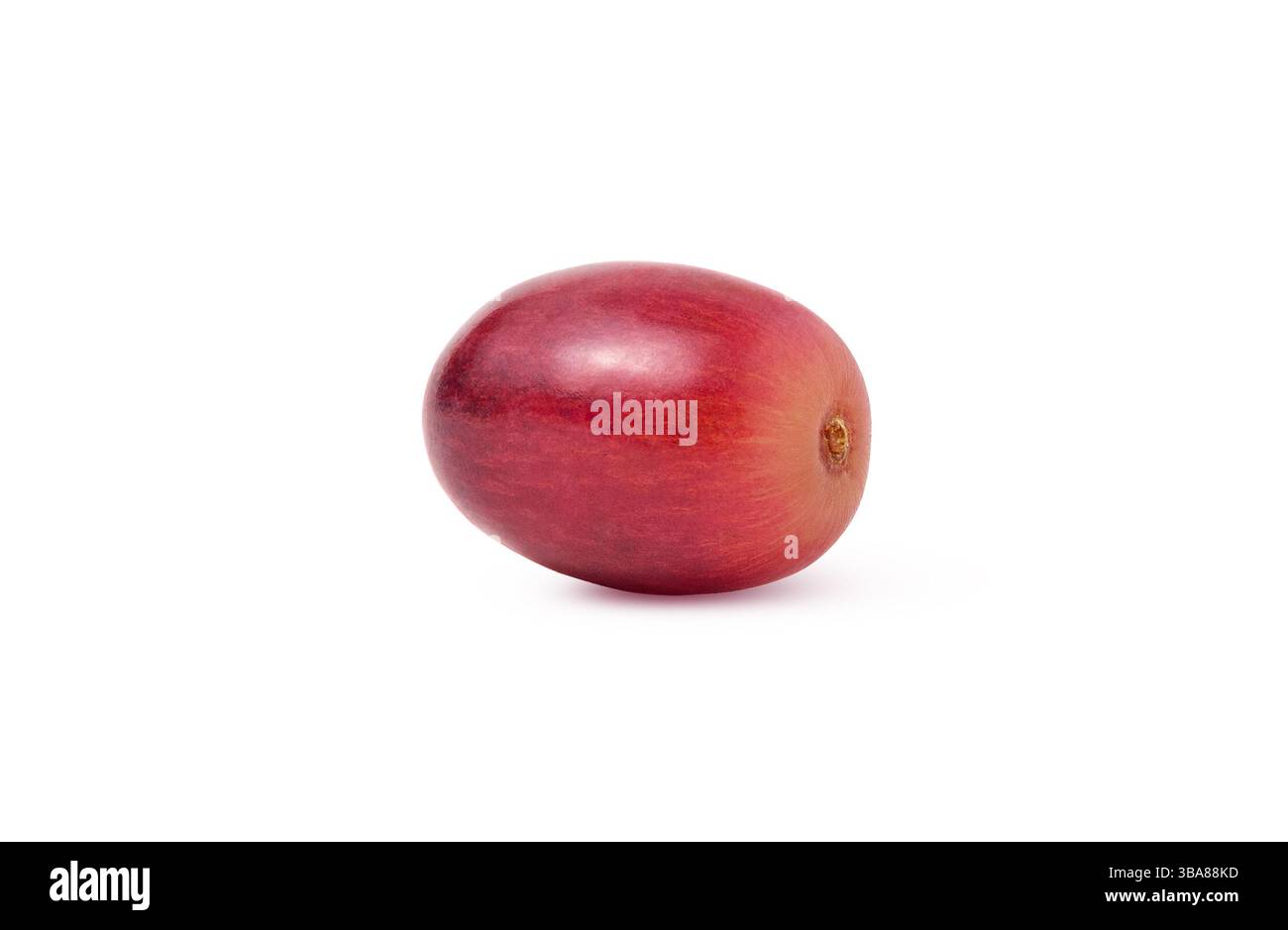Single red wine grape isolated on white background Stock Photo - Alamy