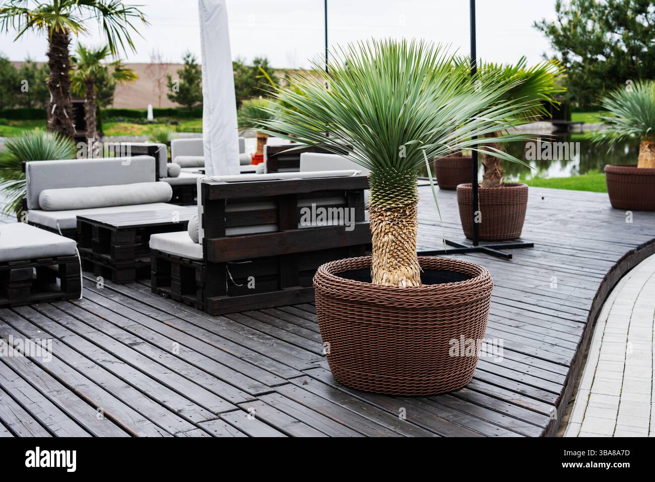 Outdoor oasis with styled wooden furniture seating and greenery ...