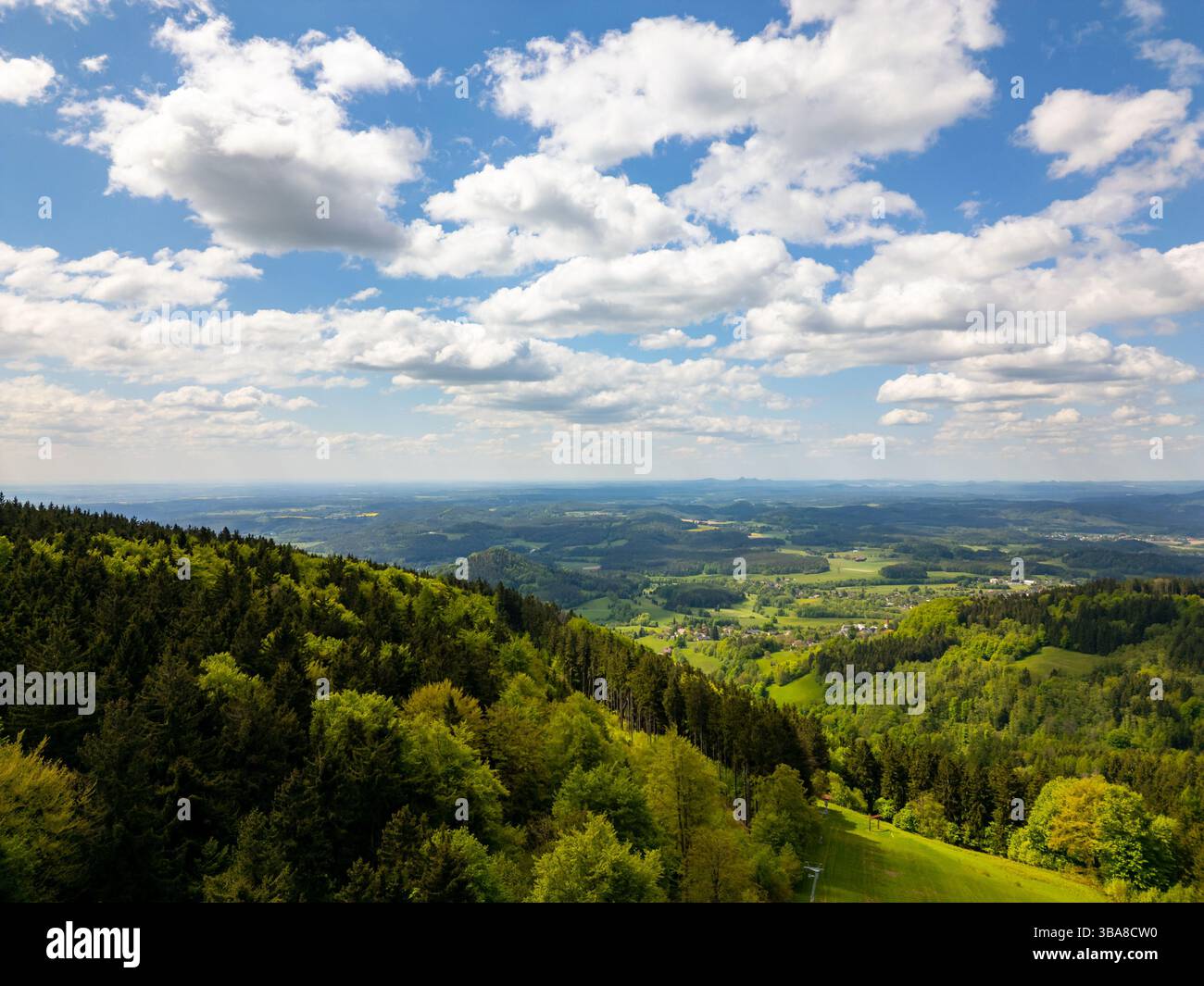 Aerial view of blooming summer landscape near Jizera Mountains with ...