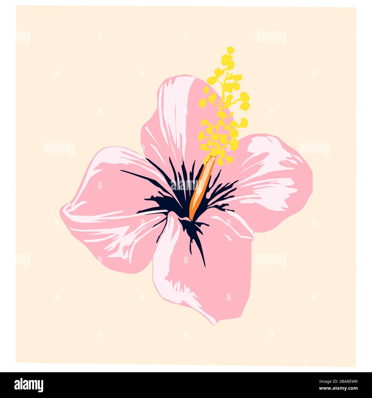 Vector hibiscus flower Stock Vector Images - Alamy