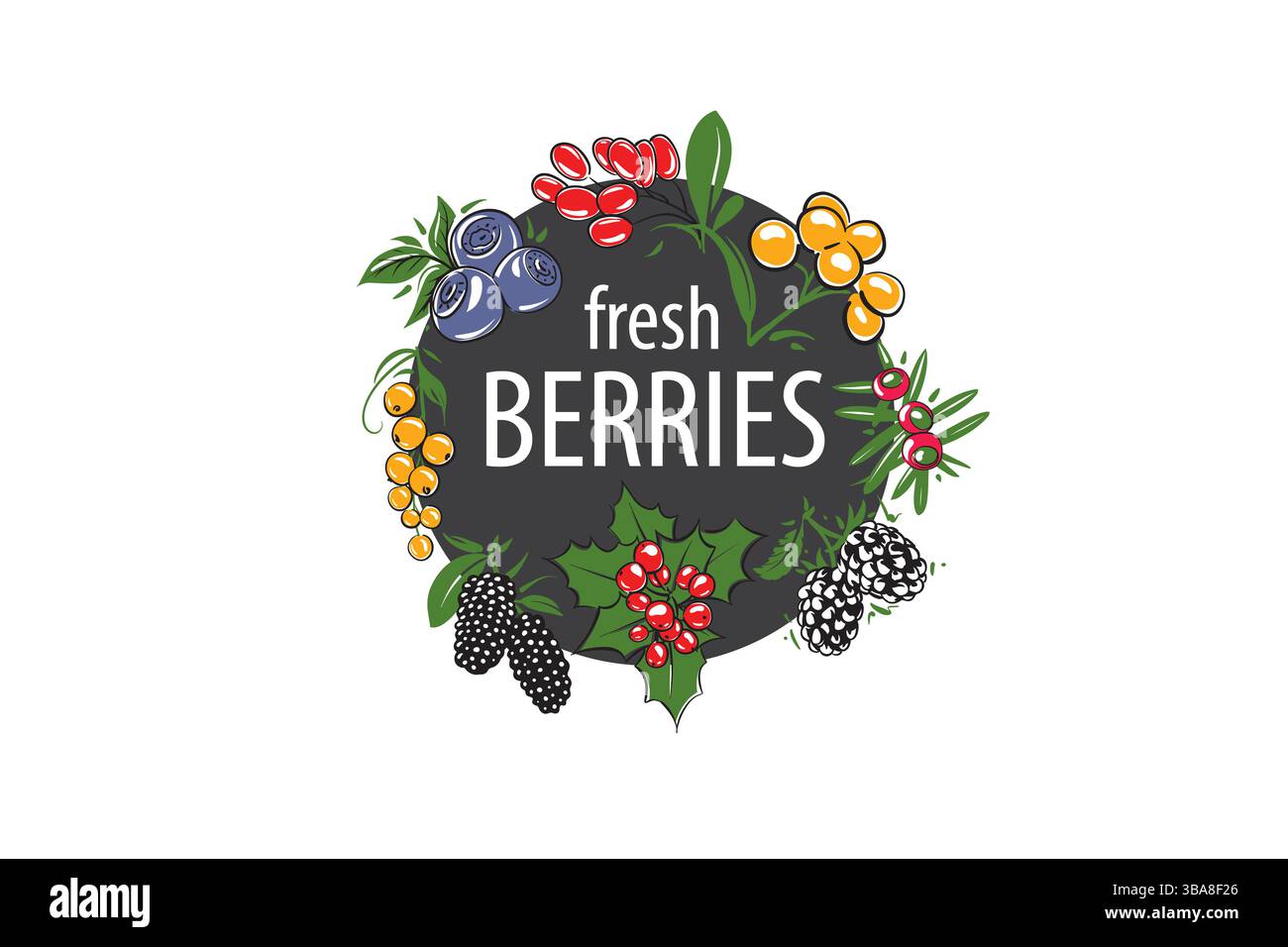Blueberries fresh fruit label Cut Out Stock Images & Pictures - Alamy