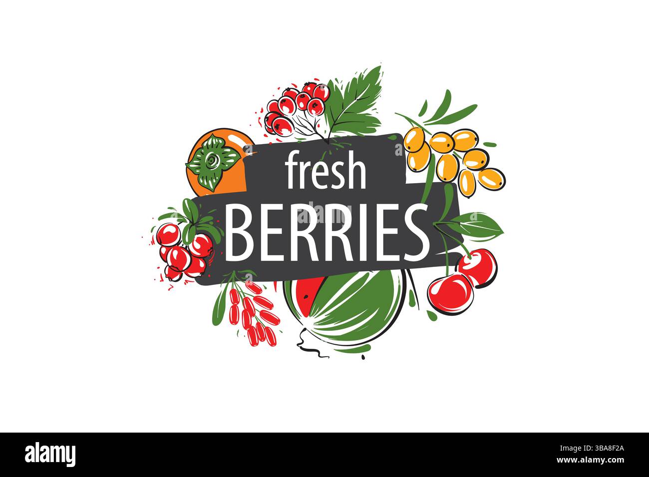 Vector logo with painted fresh berries Stock Vector Image & Art - Alamy
