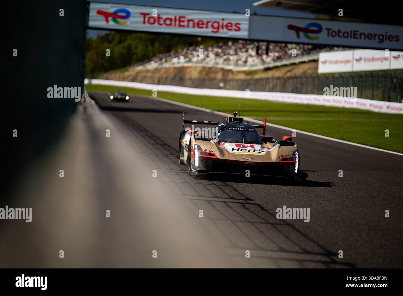 12 LYNN Alex (gbr), NATO Norman (fra), STEVENS Will (gbr), Cadillac Hertz Team Jota, Cadillac V ...