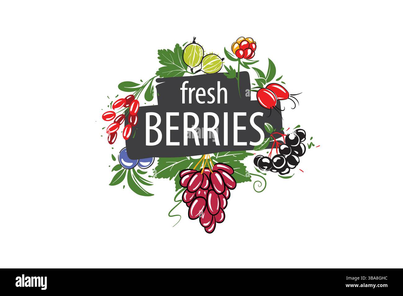 Prunus spinosa Stock Vector Images - Alamy