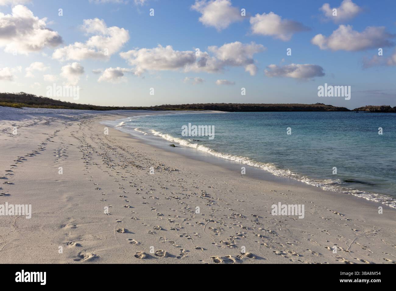 Gardner Bay beach, Isla Espanola, Galapagos, Ecuador, South America ...