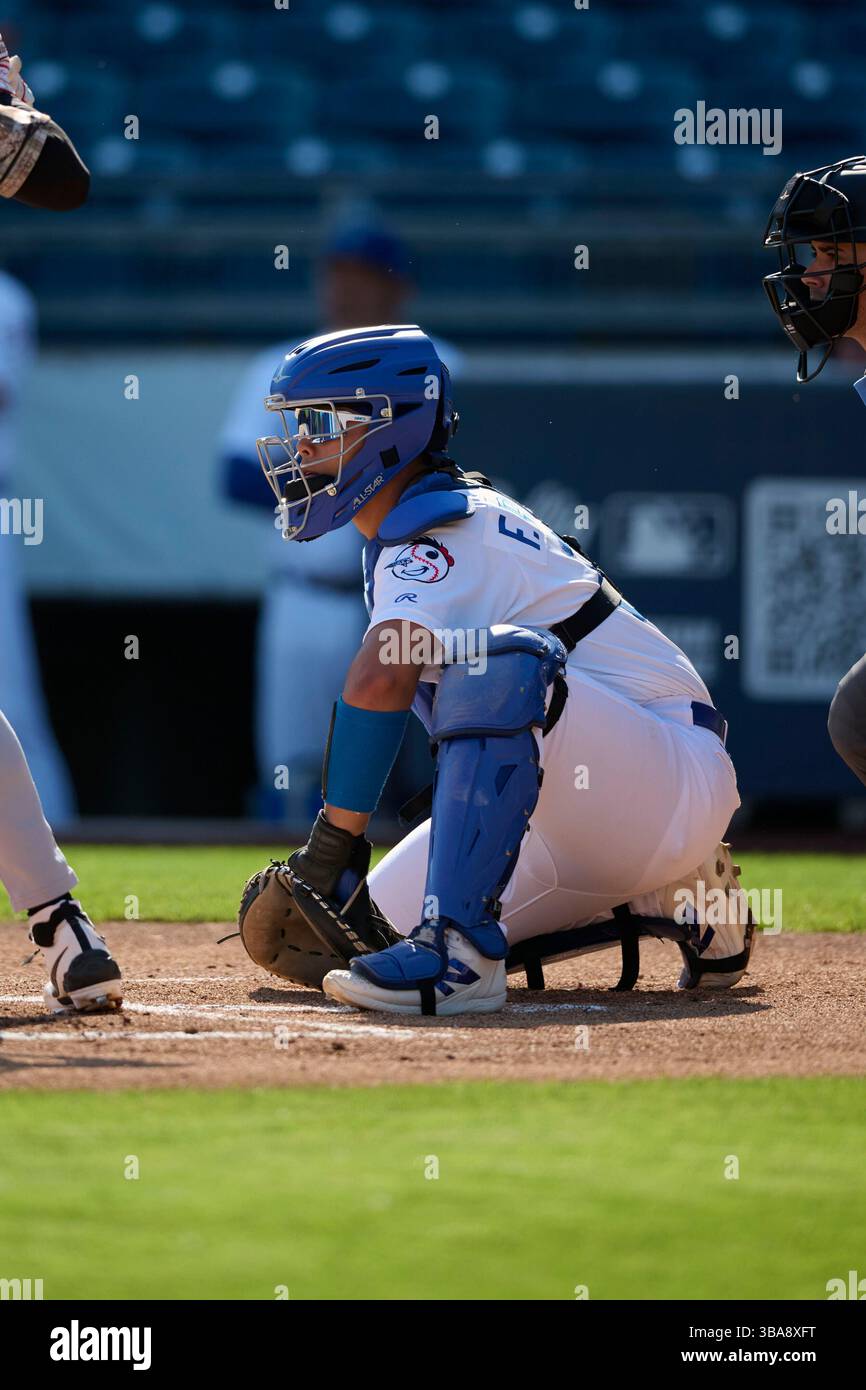 Tulsa Drillers catcher Frank Rodriguez (28) during an MiLB Texas League ...