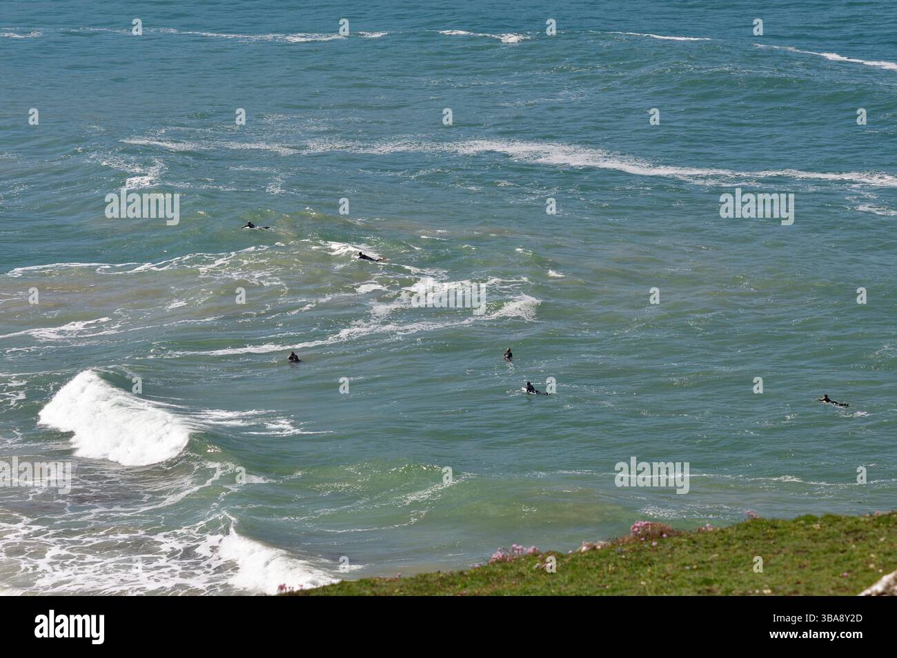 Surfing at Crantock Bay Newquay Cornwall England uk Stock Photo - Alamy