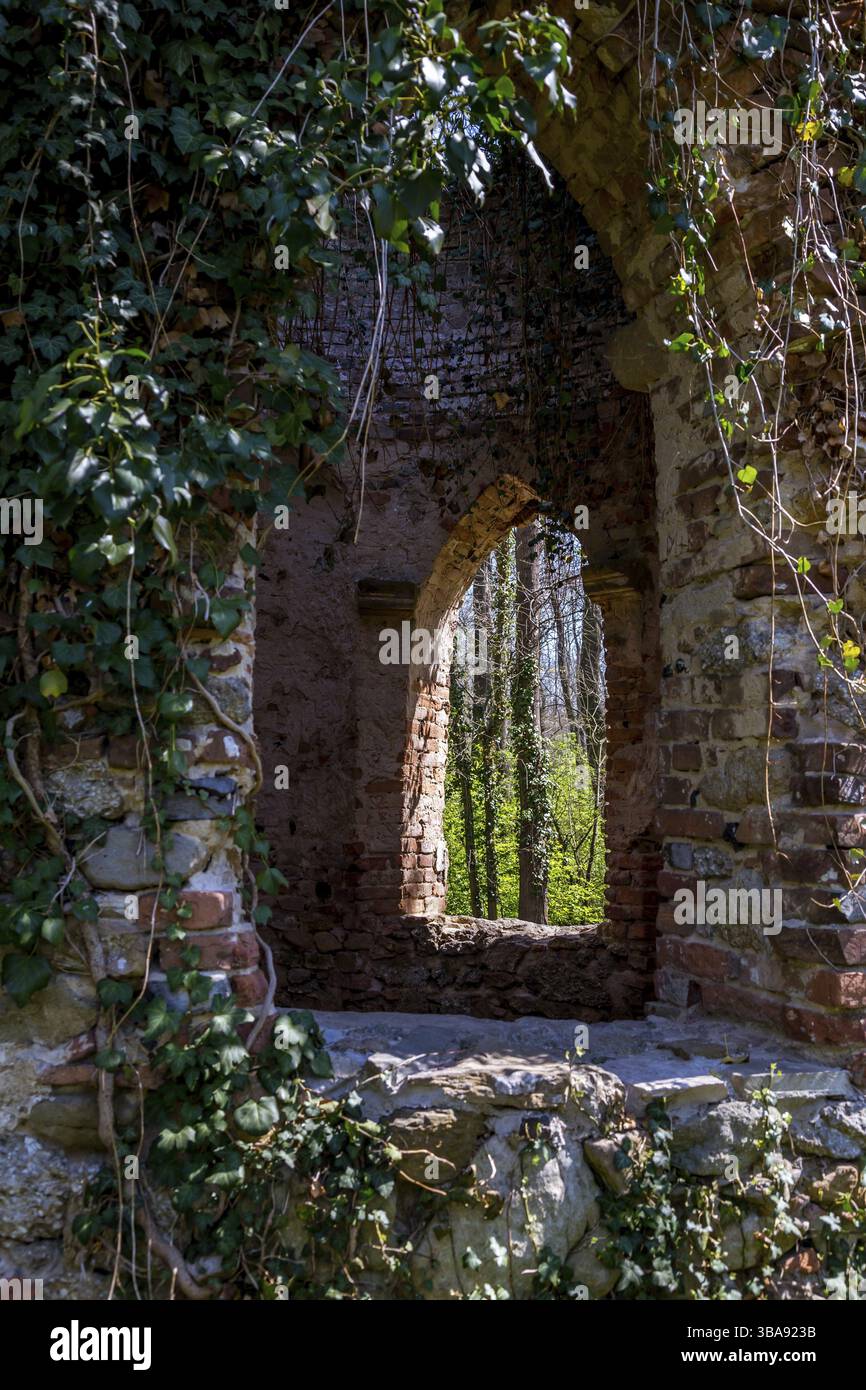 Old trees, gazebo and ruins of old chapel in English park of baroque ...