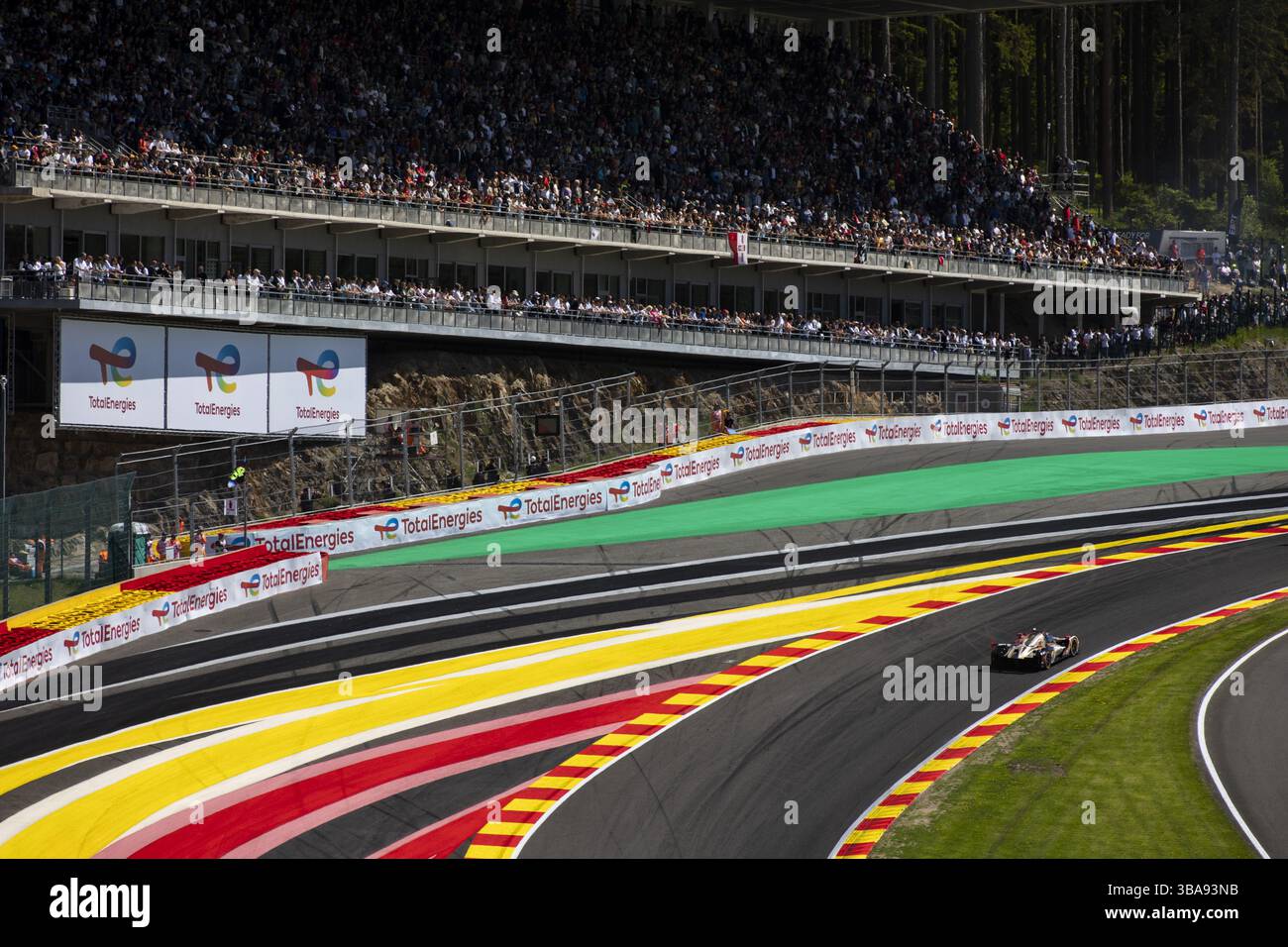 12 LYNN Alex (gbr), NATO Norman (fra), STEVENS Will (gbr), Cadillac Hertz Team Jota, Cadillac V ...