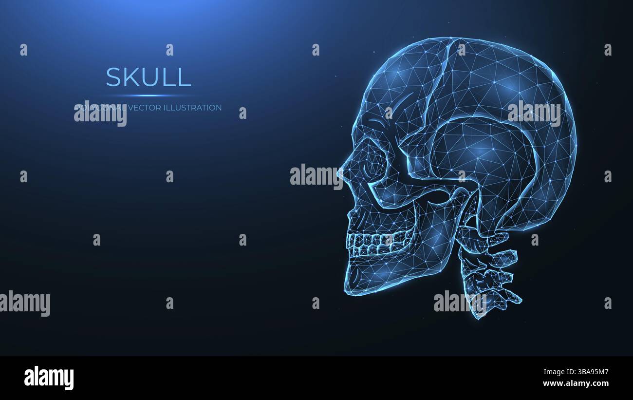 Human skull side view hi-res stock photography and images - Alamy