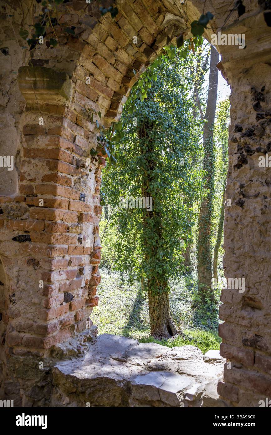 Old trees, gazebo and ruins of old chapel in English park of baroque ...