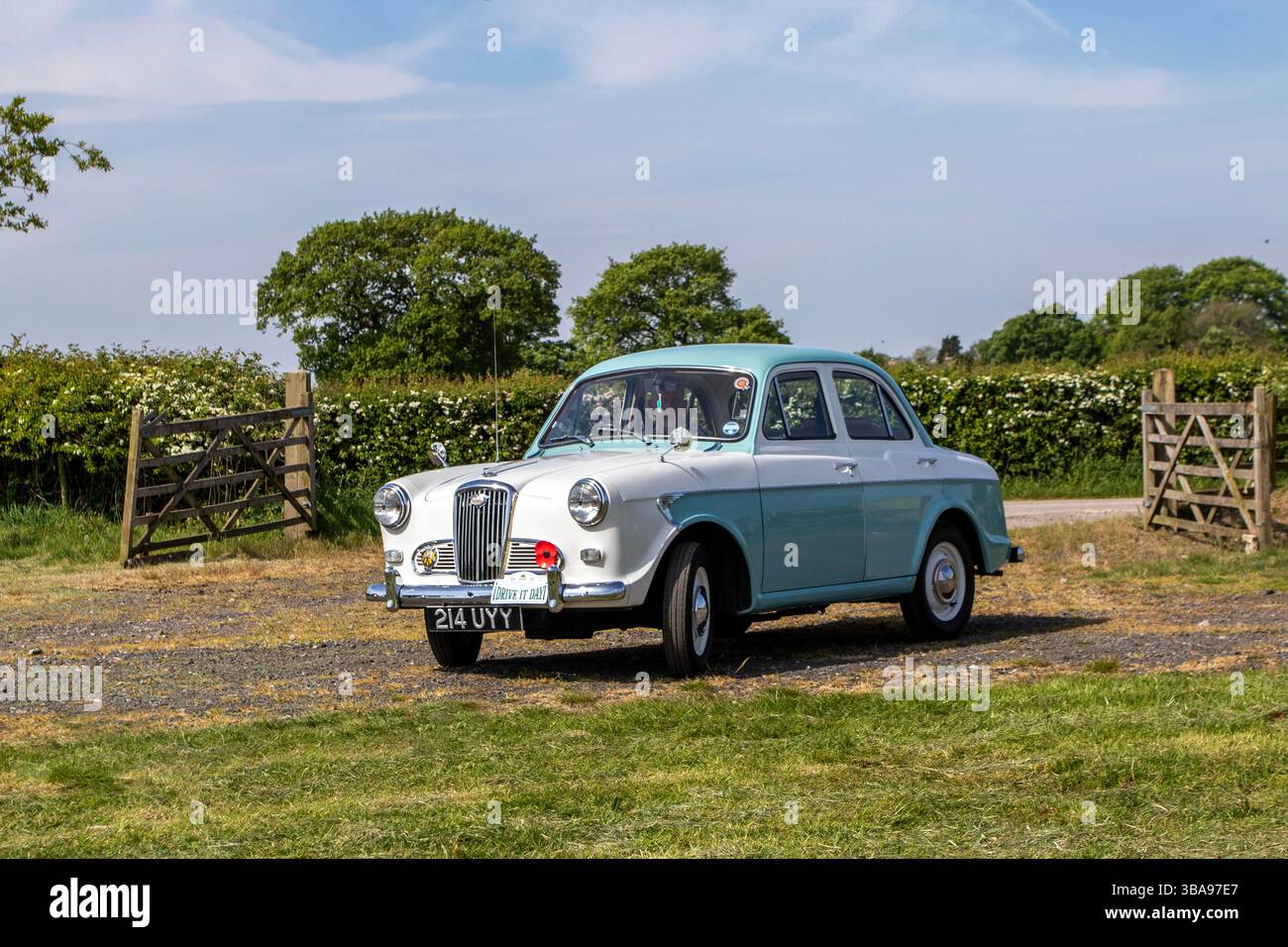 1958 50s fifties blue white Wolseley Car Petrol 1489 cc, Wolseley 1500 ...