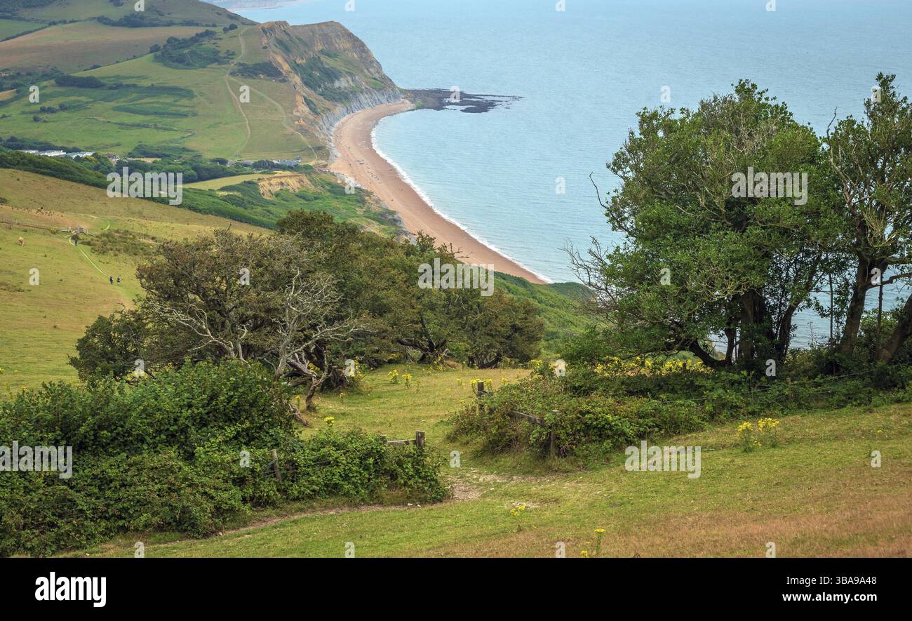 Green fields on a hill with the sea English Channel and English ...