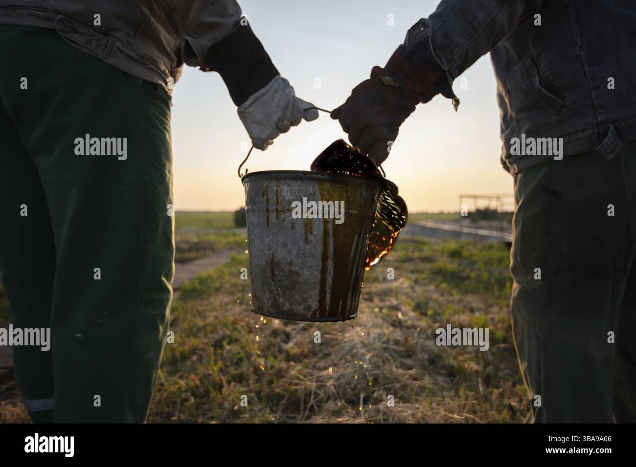 Workers carry a bucket of spilt oil. Discover oil fields. Black gold ...