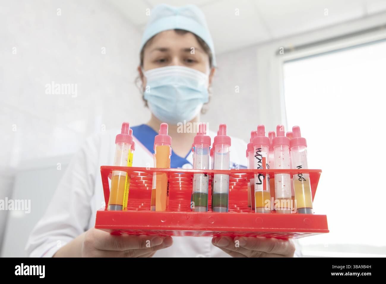 The doctor laboratory assistant holds test tubes with analyzes in his ...