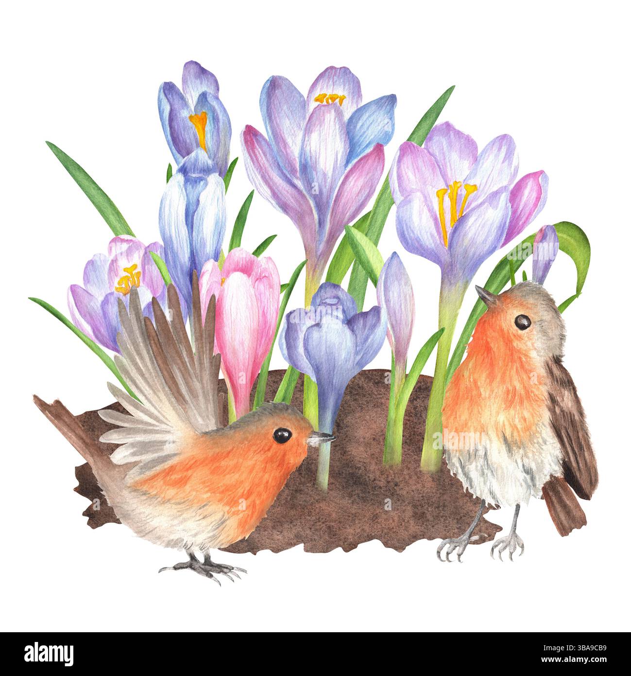 Hand painted birds in Cut Out Stock Images & Pictures - Alamy