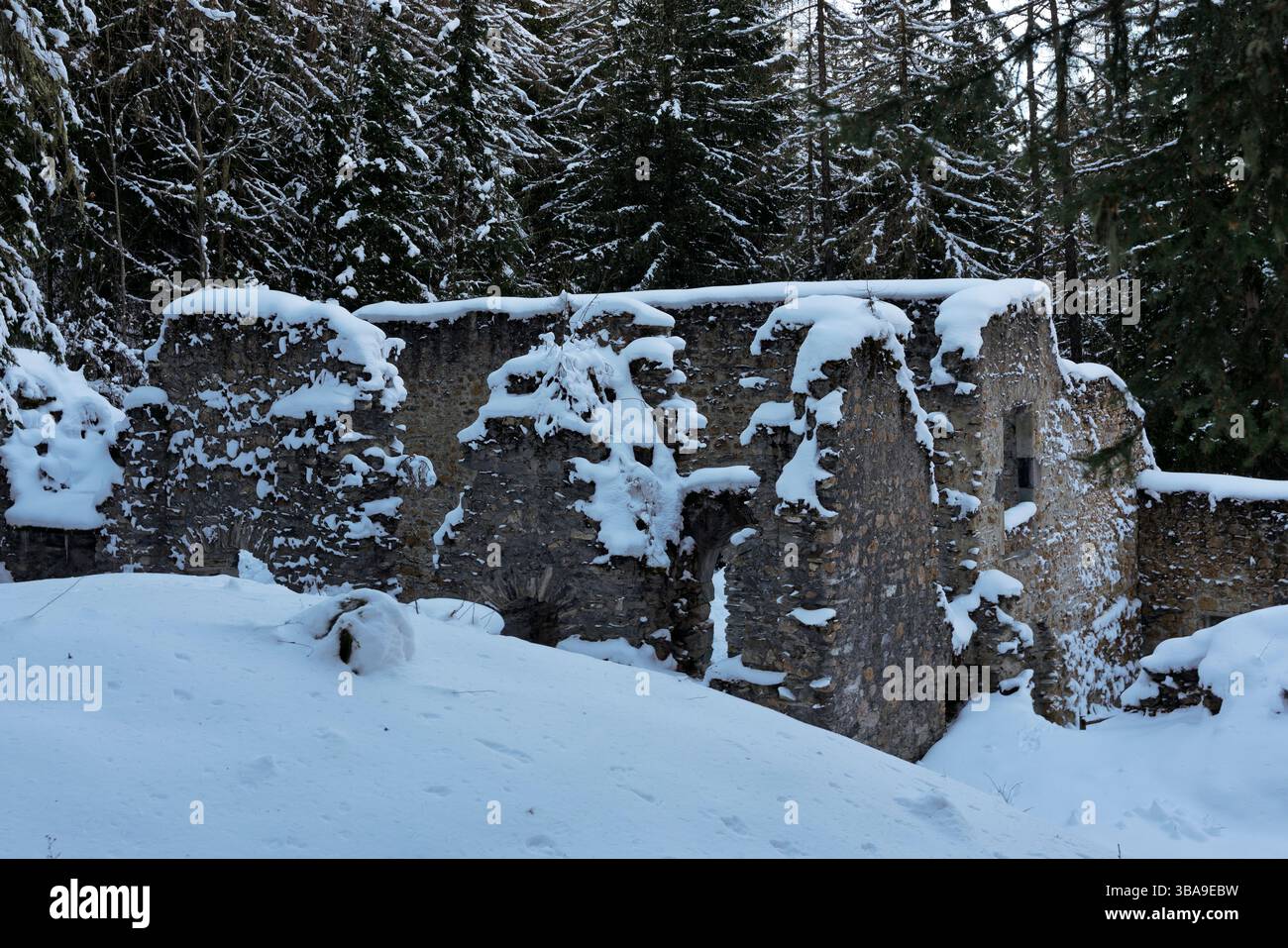 Old stone walls rise from snow in a forest clearing, their ruined ...