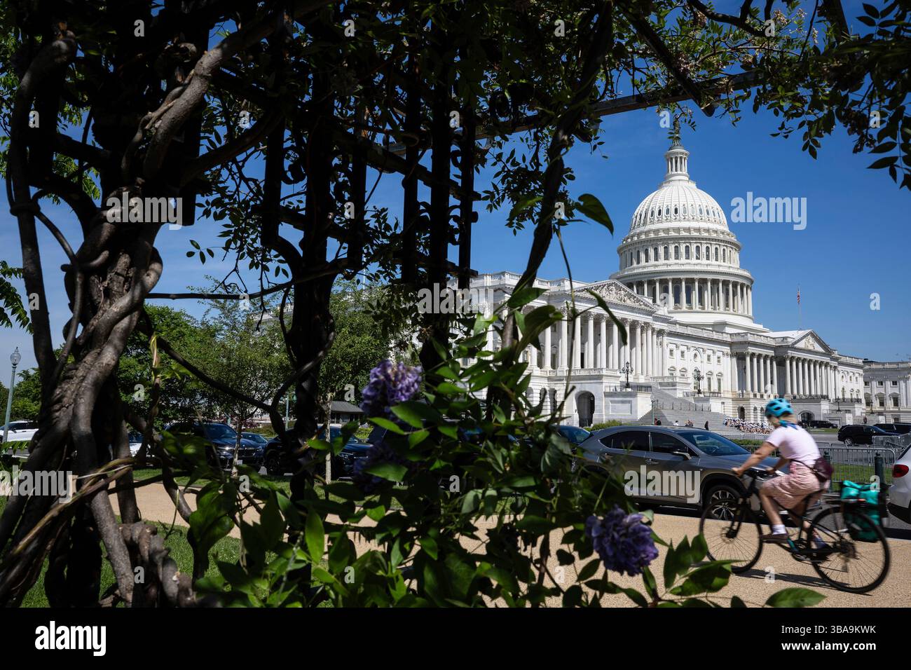 The U.S. Capitol building is seen May 12, 2025. (Francis Chung/POLITICO ...