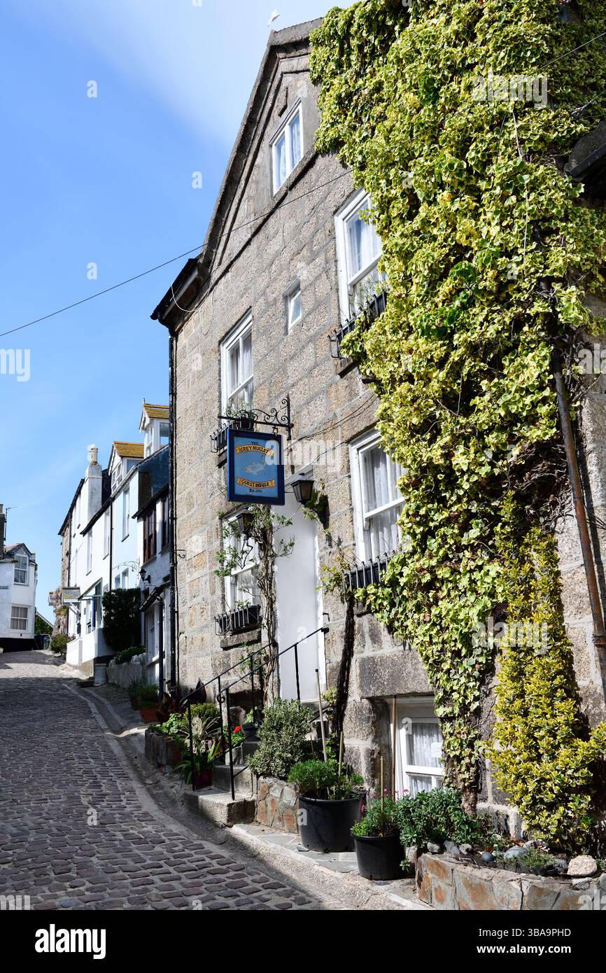 The Grey Mullet Guest House St Ives Cornwall England uk Stock Photo - Alamy