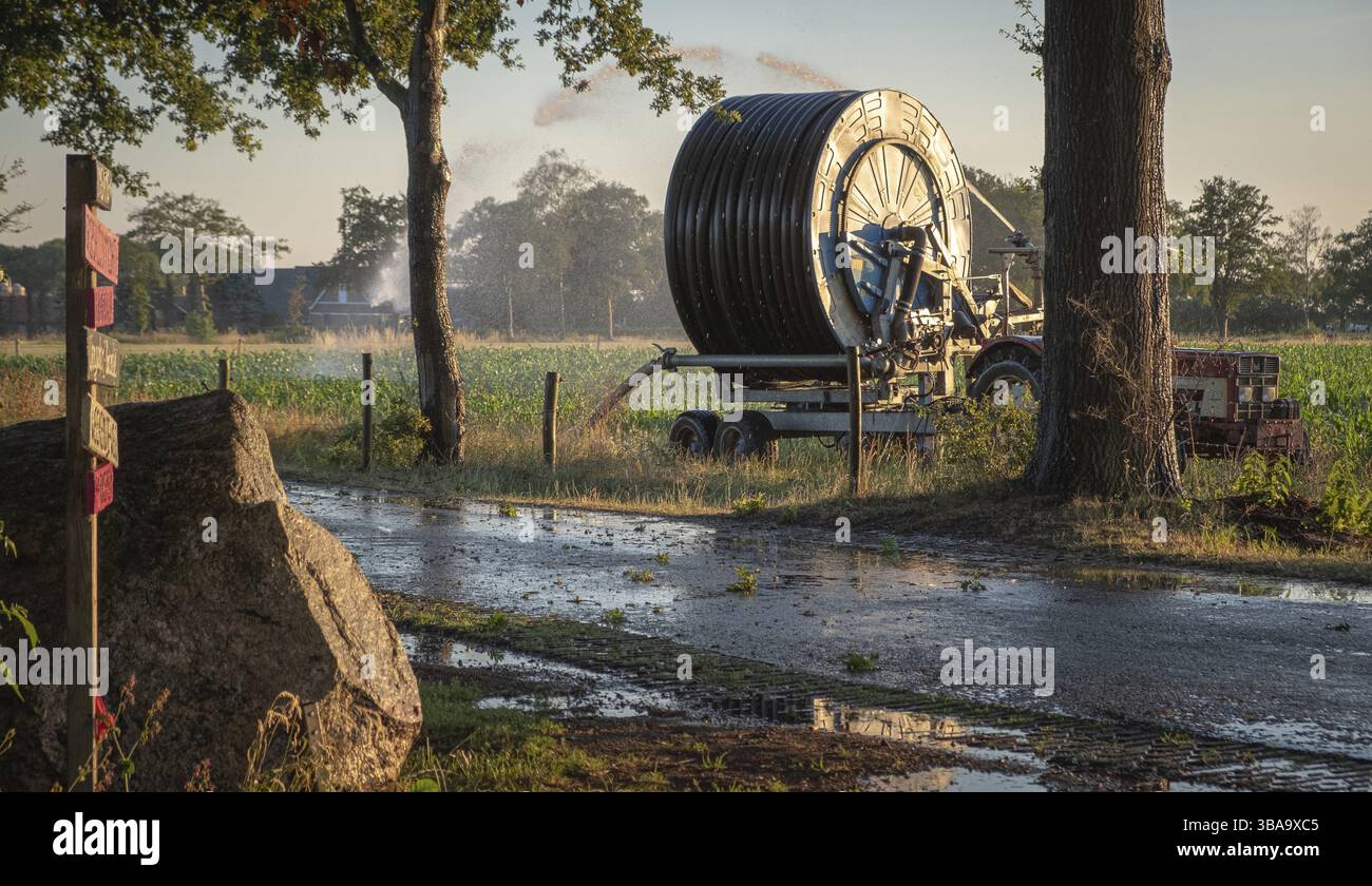 Silhouette of agricultural irrigation system watering cornfield at ...