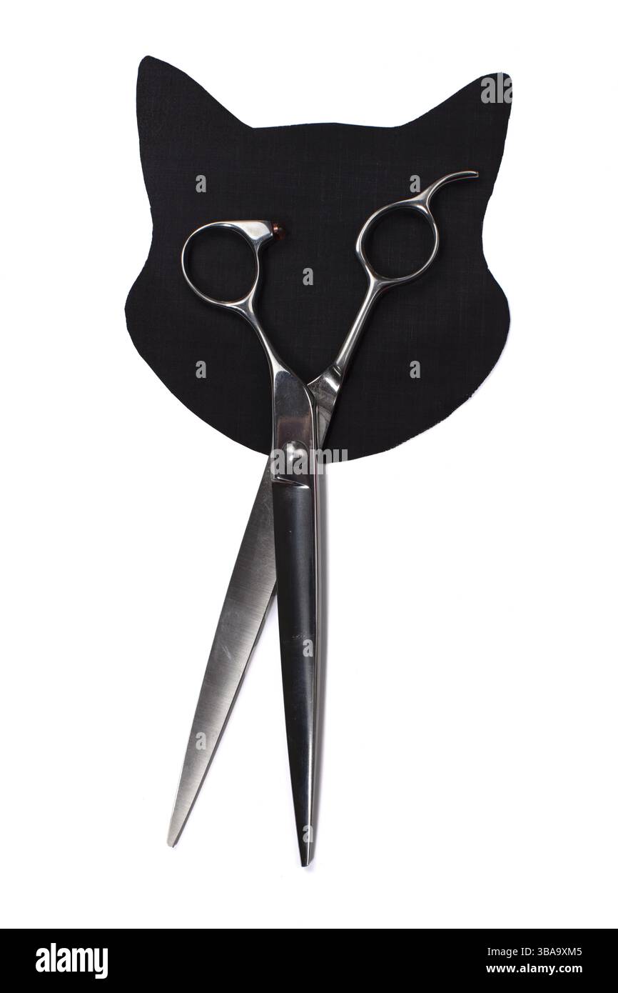 Craft paper black cat. Creative cat head and scissors. Children's art ...