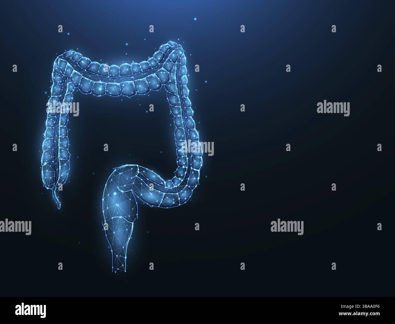 Abstraction polygonal vector illustration of the colon or large ...