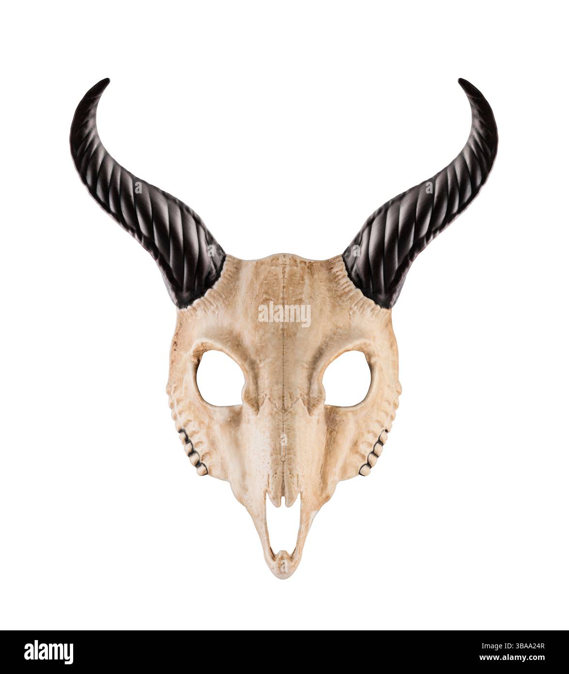 Mammal horns Cut Out Stock Images & Pictures - Alamy