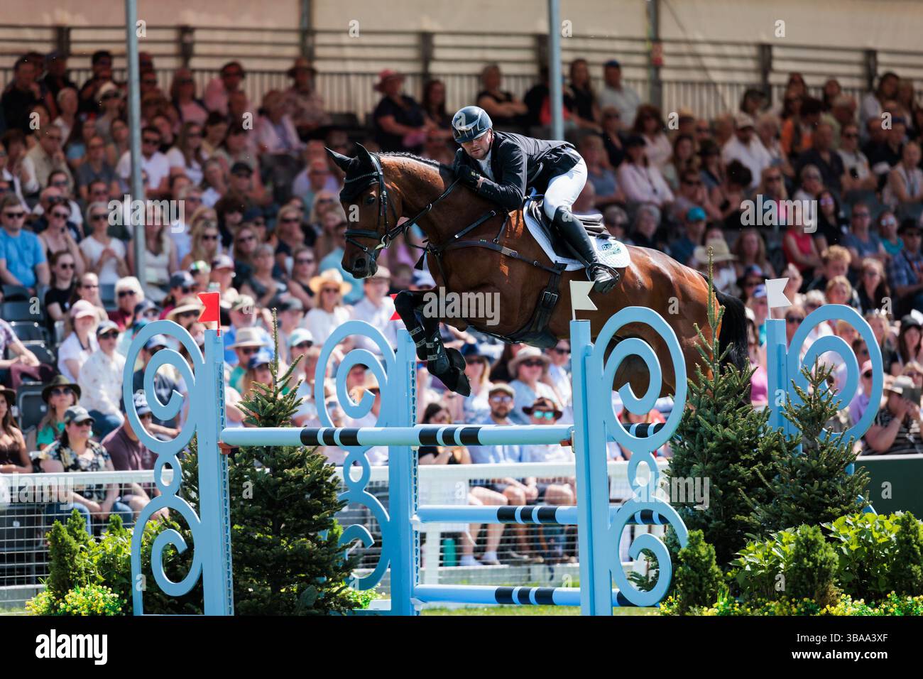 Jack Mantel of Great Britain with Jack Daniels during the showjumping ...