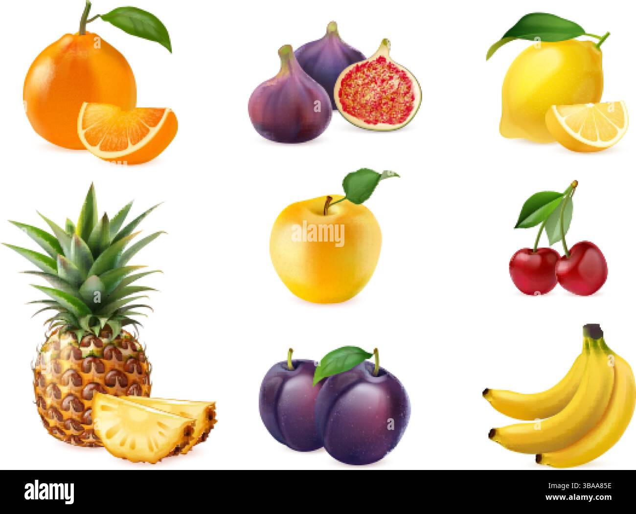 Original citrus Stock Vector Images - Alamy