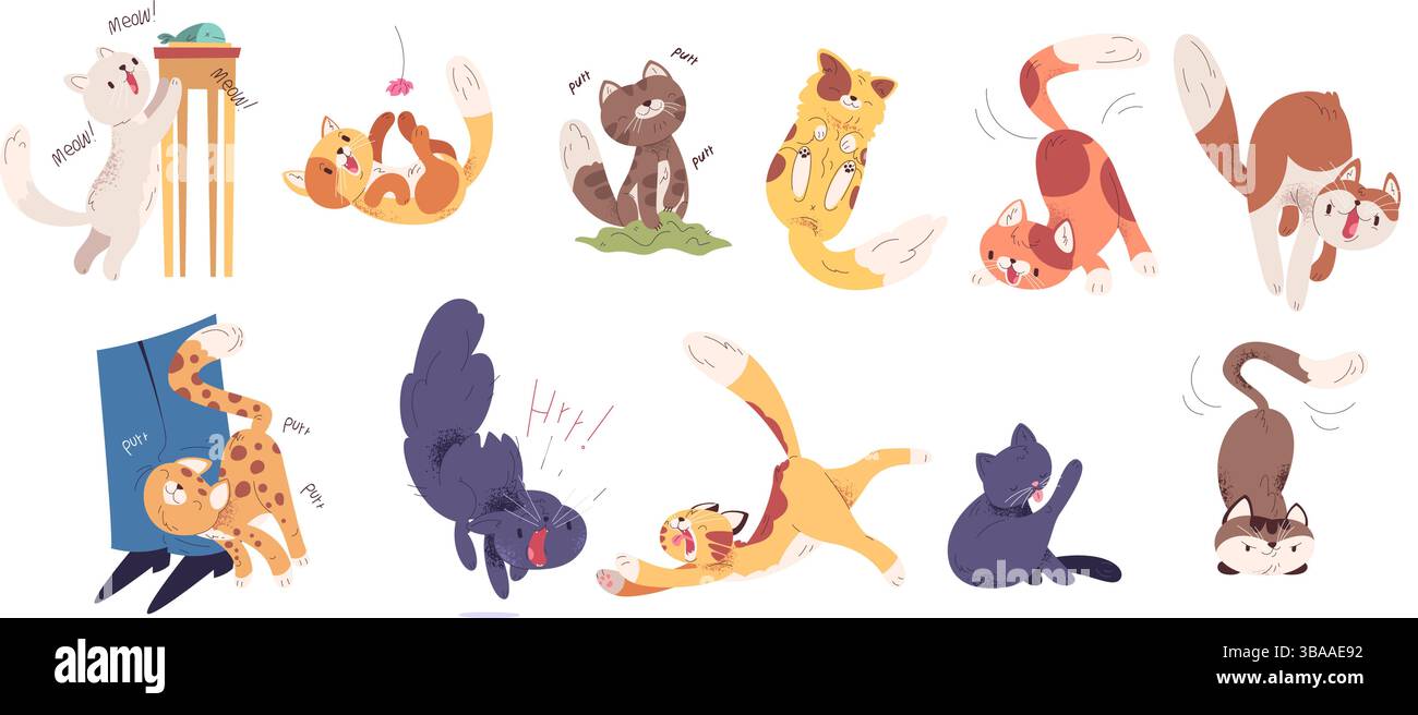 Funny cat behaviour Stock Vector Images - Alamy