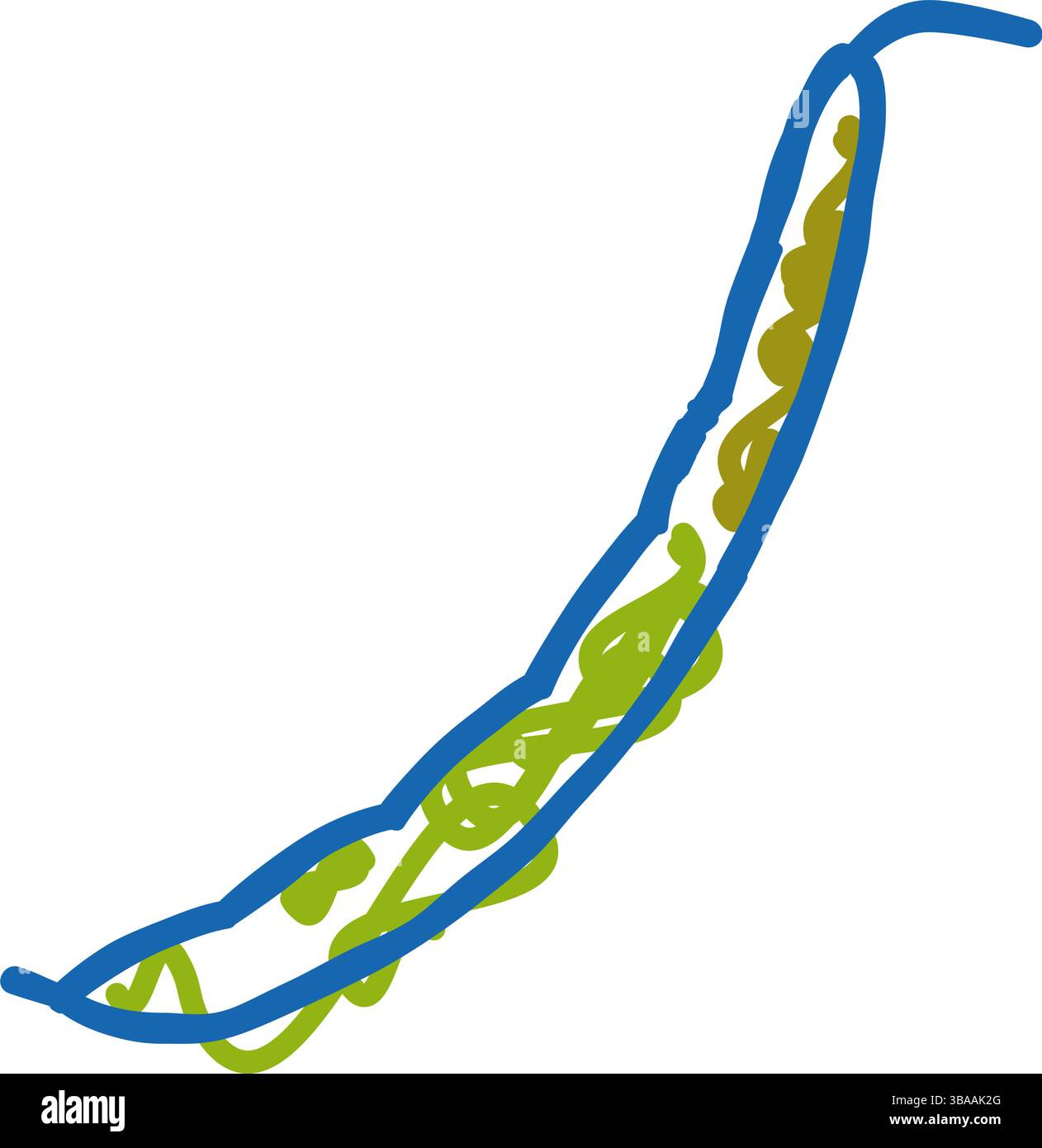 green bean pod icon doodle illustration Stock Vector Image & Art - Alamy