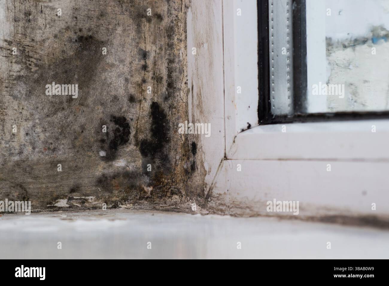 Mold fungus on a plastic window Stock Photo - Alamy