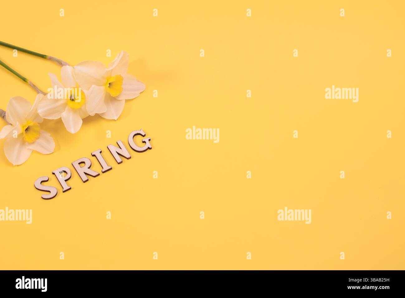 the word spring is written in wooden letters in the colors of daffodils ...