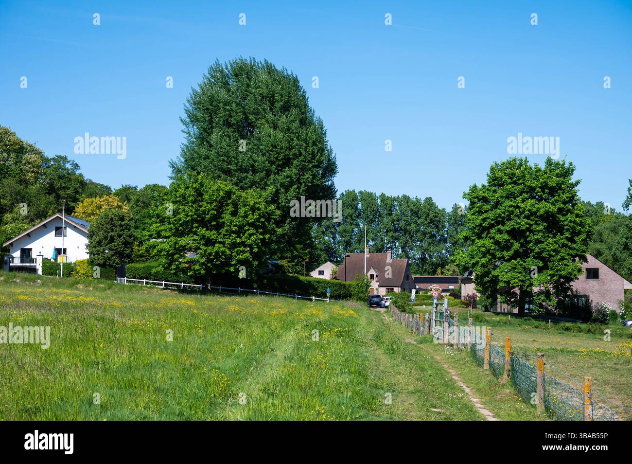 Green lawn and farmland with residential houses at the countryside in ...