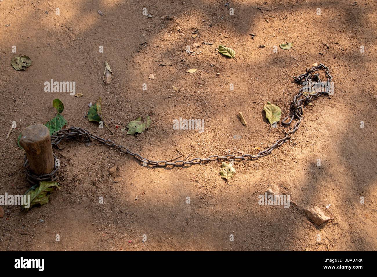 An elephant leg chain at the Elephant Camp Karen Ruammit Elephant Care ...