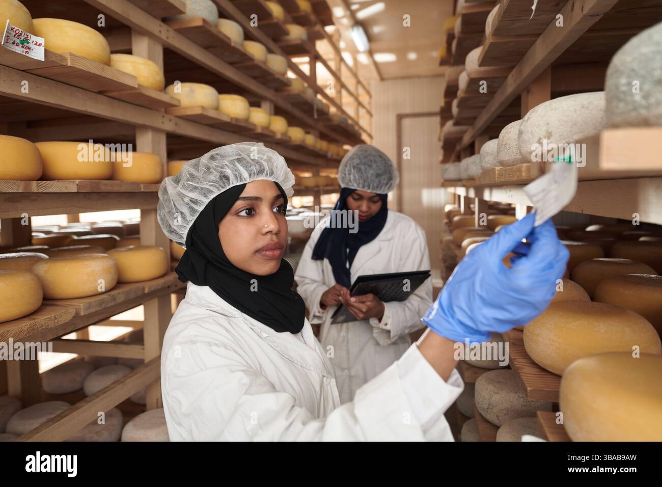 Middle Eastern female workers in hijab and white uniforms controlling ...