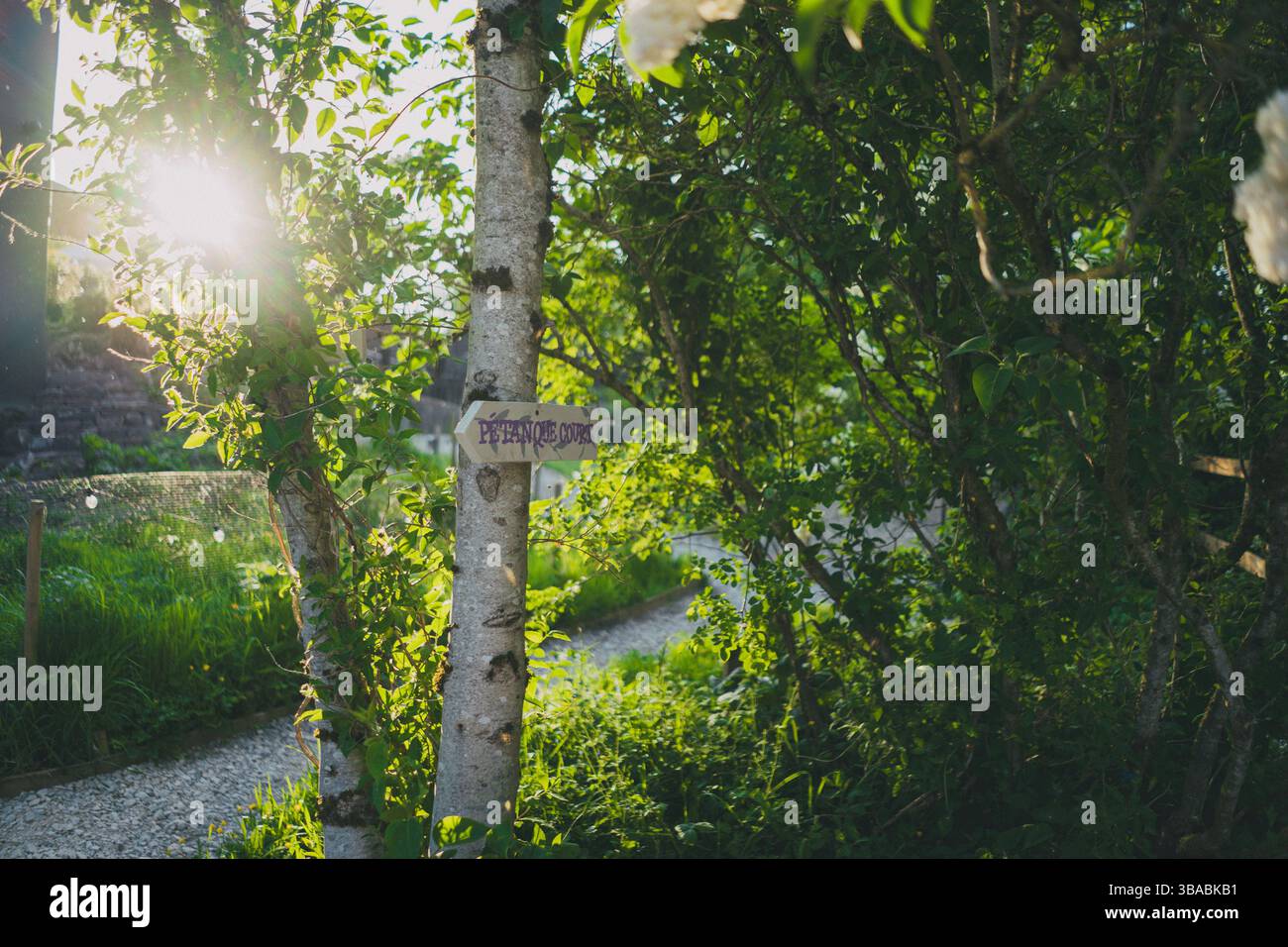 Tree Music 5 at The Strines Nightingale, 10.05.2025 Stock Photo - Alamy