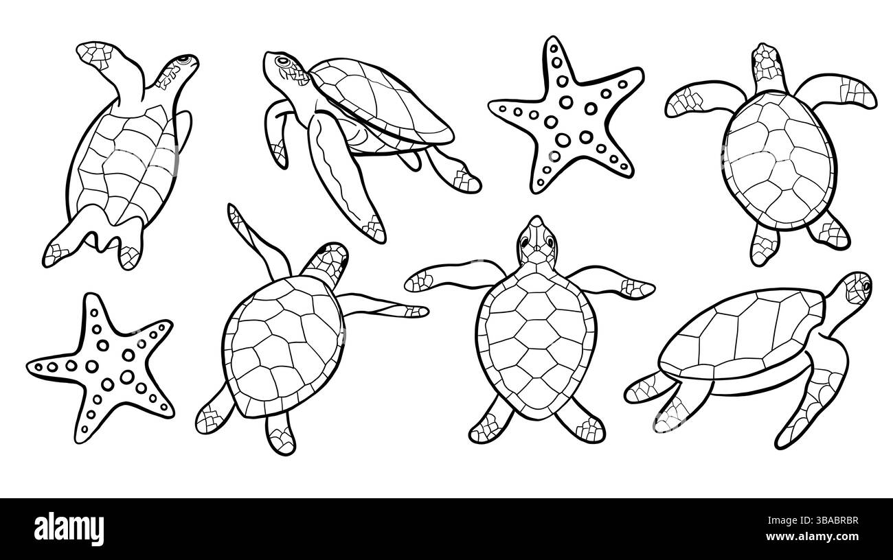 Sea turtle line silhouette set. Sea and ocean underwater life vector ...