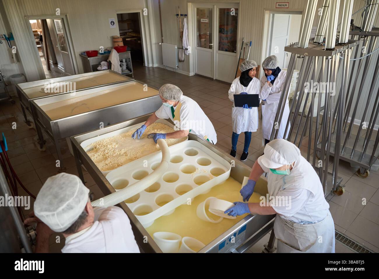 Middle Eastern female workers in hijab and uniforms standing with ...
