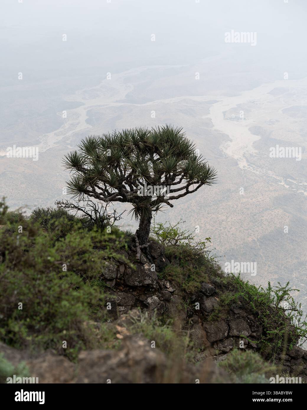 Jebel Samhan, the highest peak in Oman, is a majestic mountain offering ...
