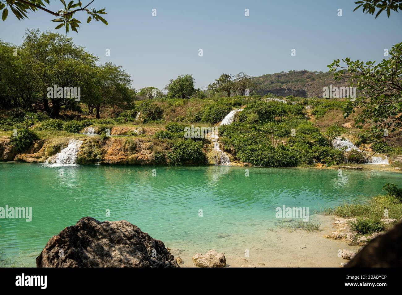 Wadi Darbat, located in the Dhofar region of Oman, is a lush, scenic ...