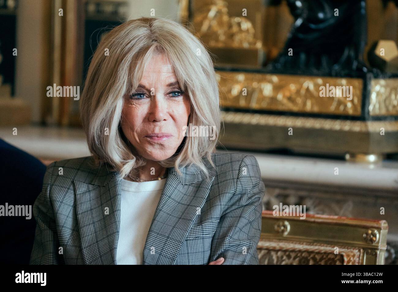 Close up portrait of First Lady of France, Brigitte Macron during the ...
