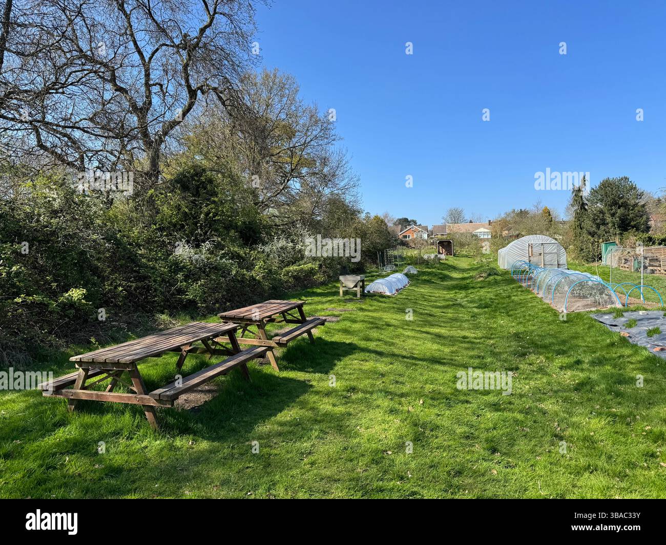 Garden details in Hannah Field community Garden Stock Photo - Alamy
