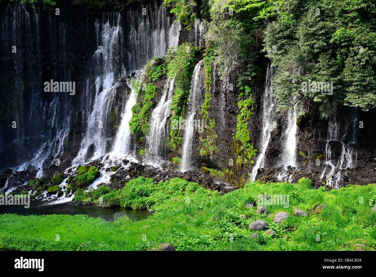 Shiraito Waterfall,Fuji-Hakone-Izu National Park,Yamanashi Prefecture ...