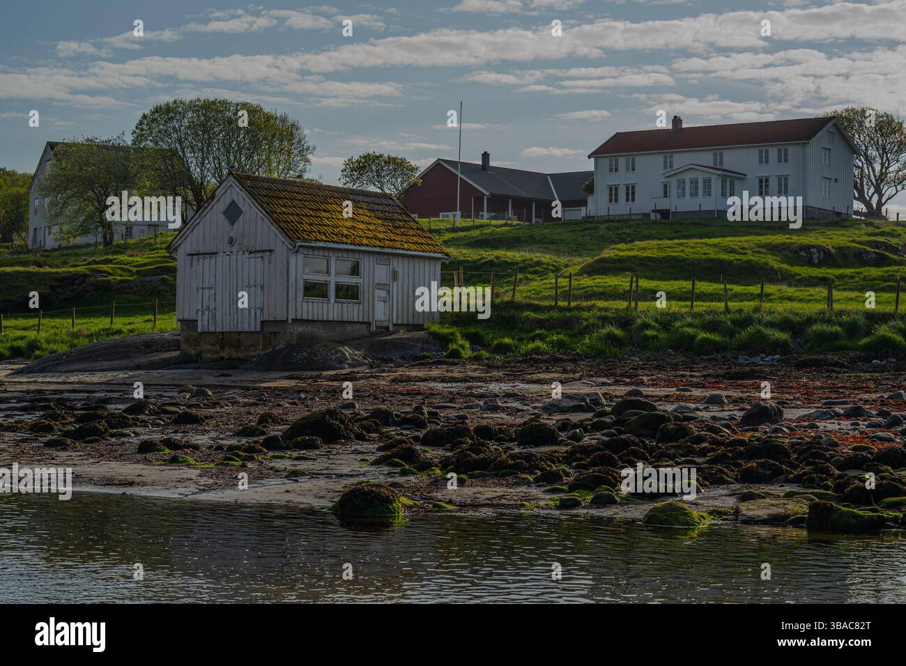 Norwegian farm by the seaside Stock Photo - Alamy