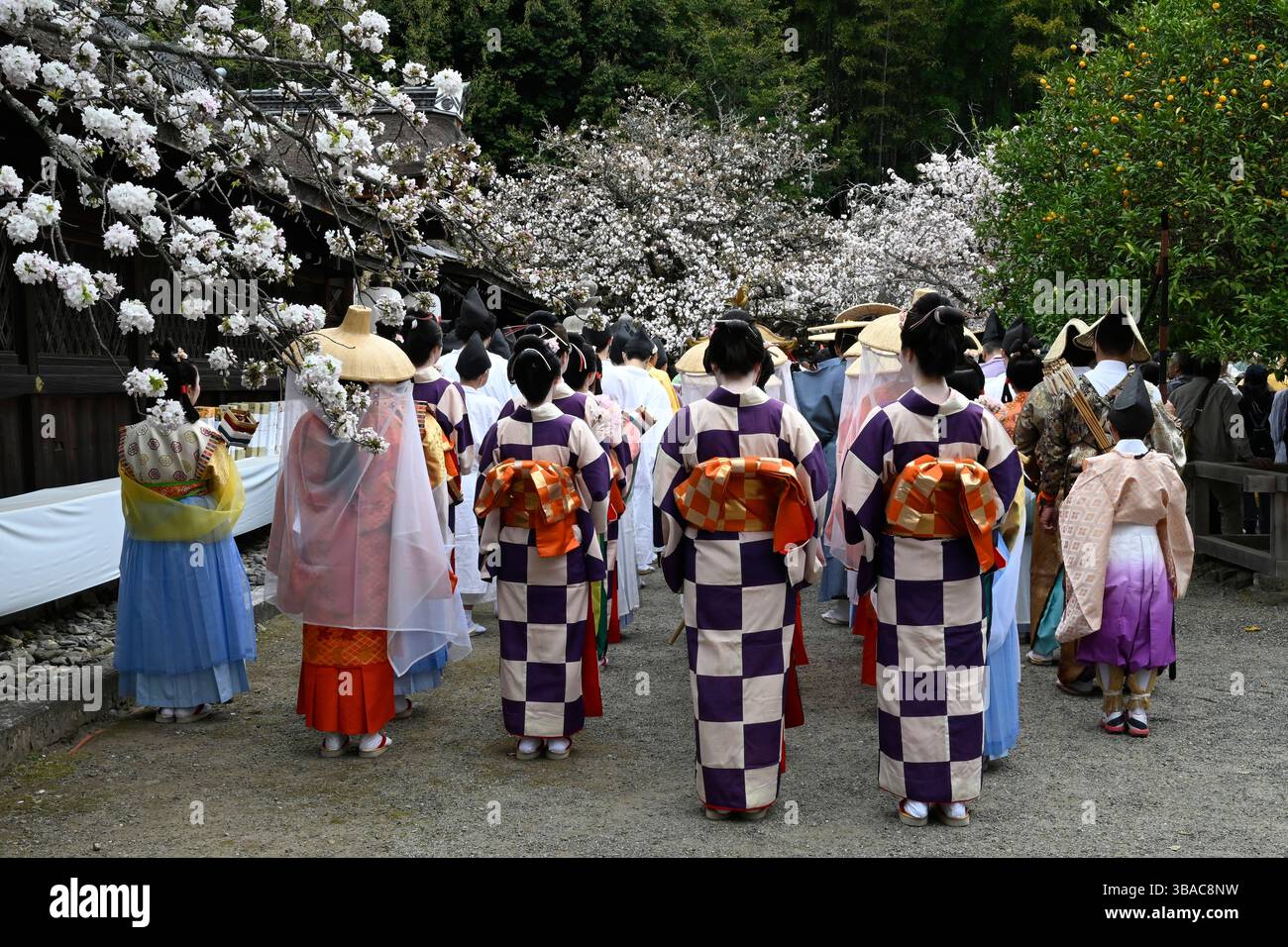 Hirano Shrine's cherry blossom procession called the Oka-sai Matsuri ...